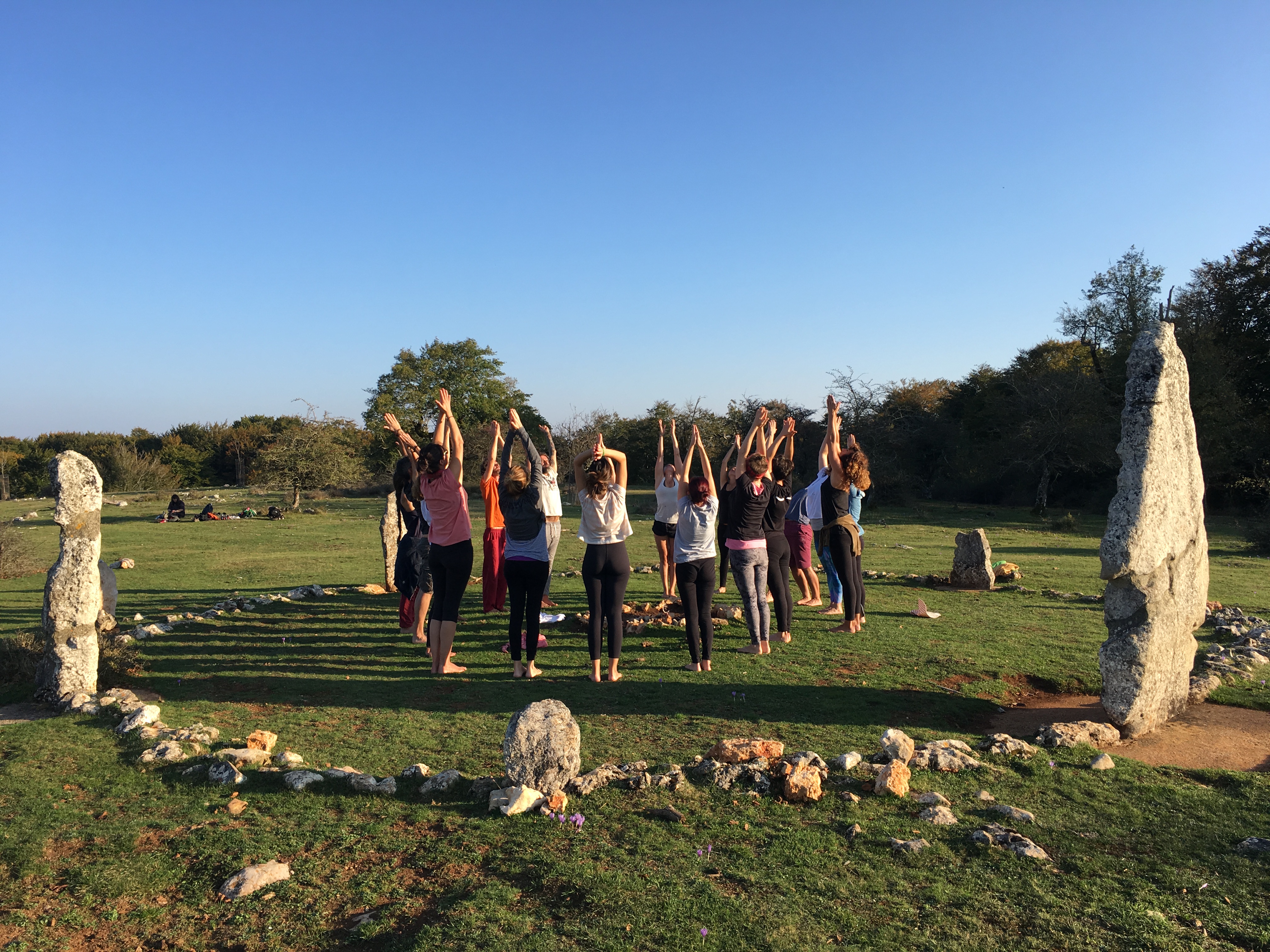 Formación de Profesores de Yoga - Y.E.S, Yoga Evolution School