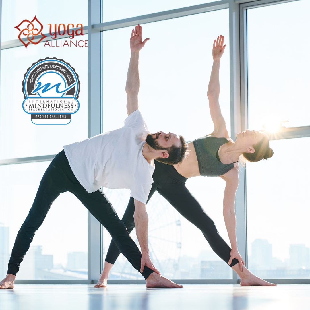 Formación de Profesores de Yoga - Y.E.S., Yoga Evolution School